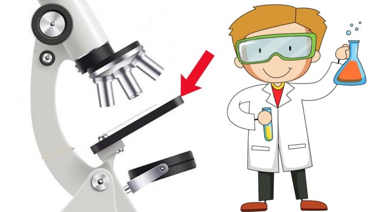 Función de la fuente de luz en el microscopio