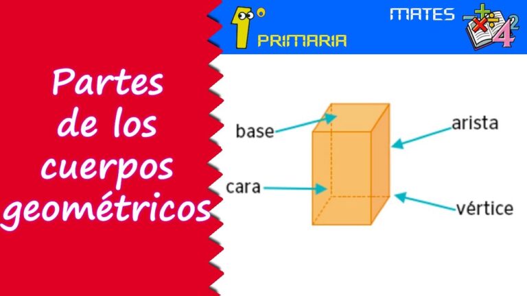 Partes de las figuras geométricas