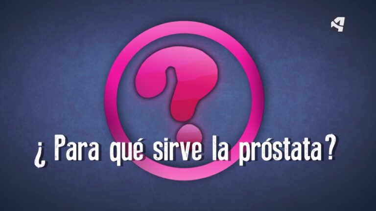 Función y utilidad de la próstata